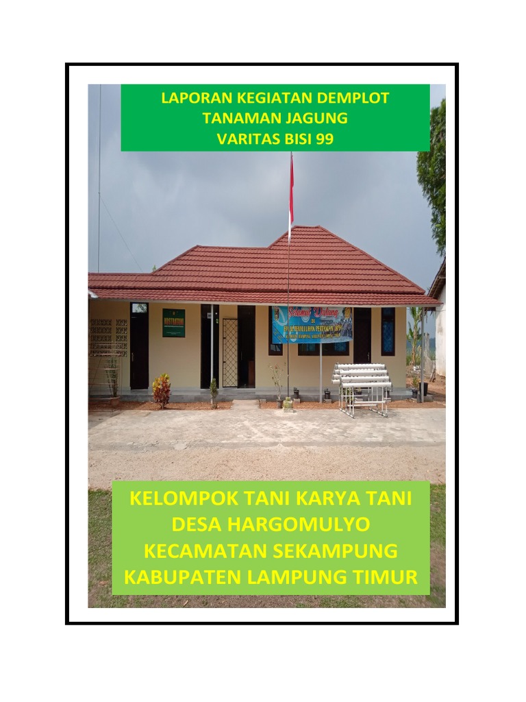 Demplot Jagung Varitas Bisi 99 | PDF