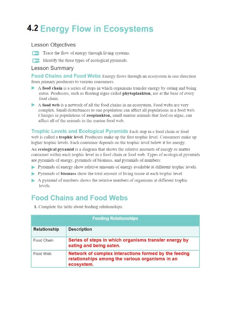 4.2 Worksheet Key. 8th | PDF