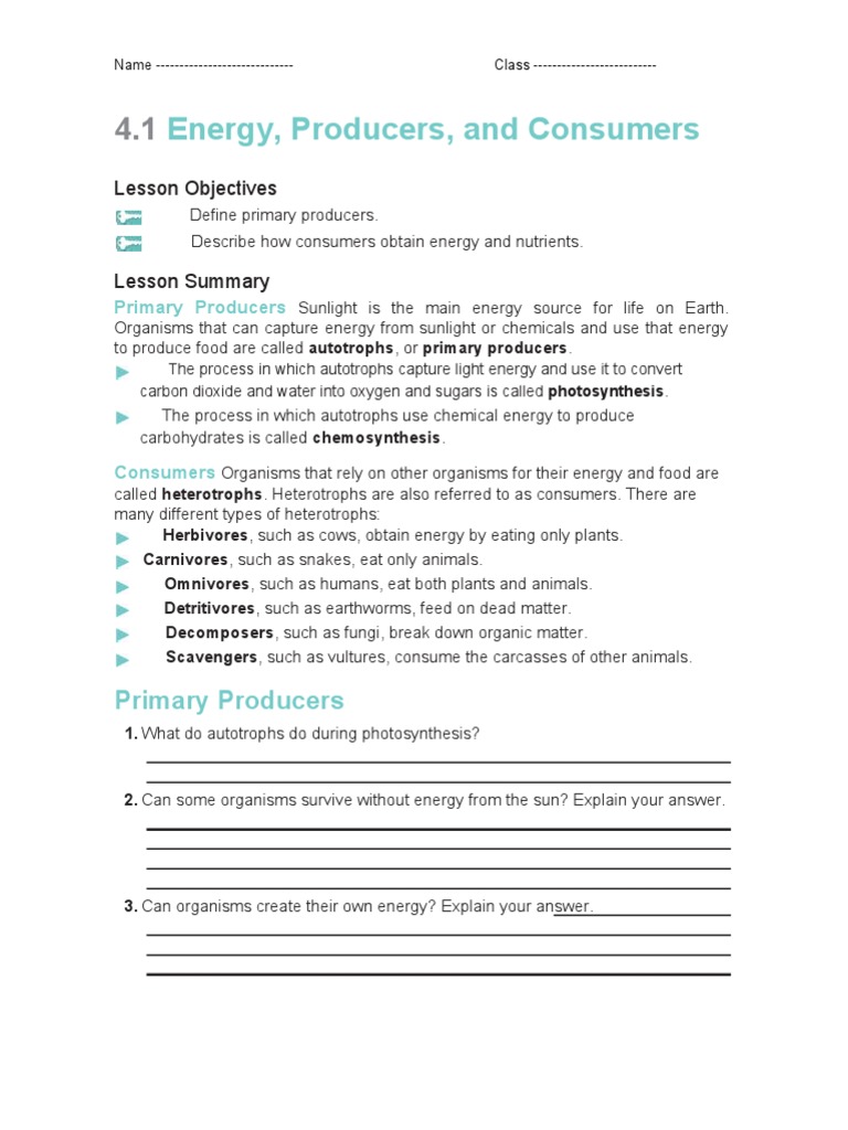 Energy Flow Through Ecosystems: Primary Producers and Types of ...