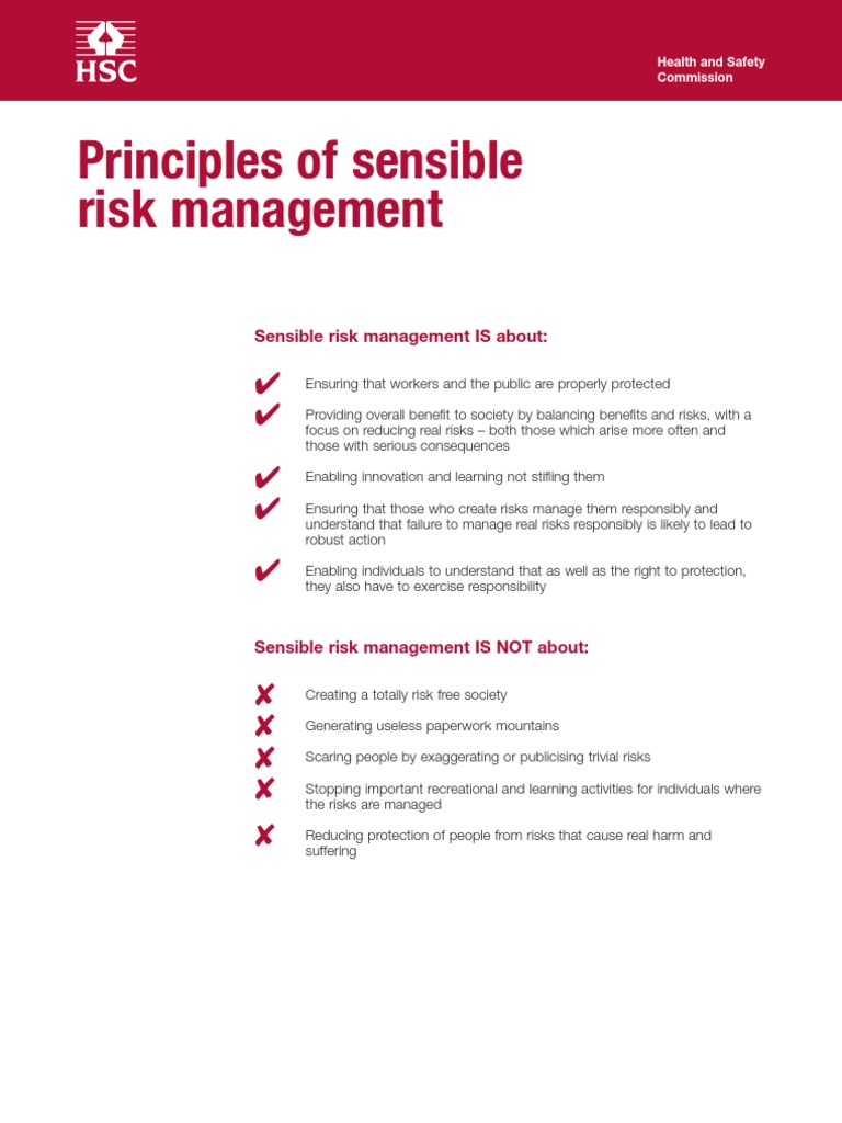 Principles of Sensible Risk Management | PDF