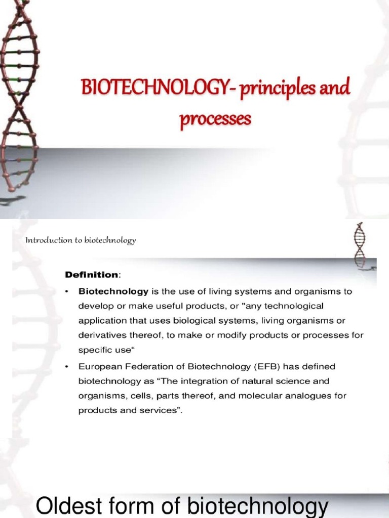 PPTChapter 11 Biotechnology Principles and Processes | PDF