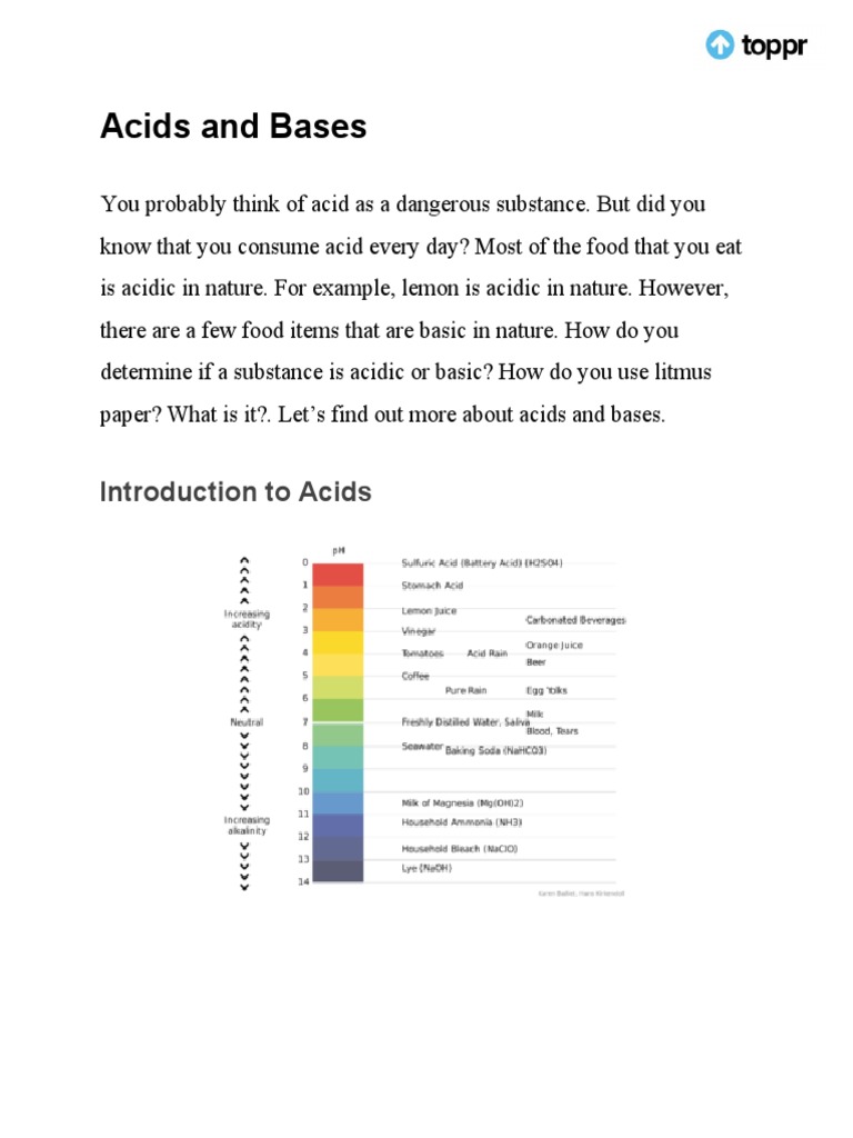 Acids Bases and Salts Class 7 Notes | PDF | Hydroxide | Acid