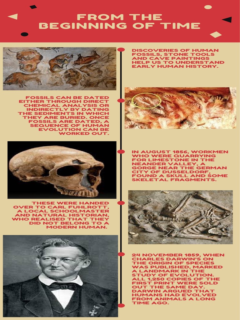 From The Beginning of Time, LT | PDF | Homo | Hominidae