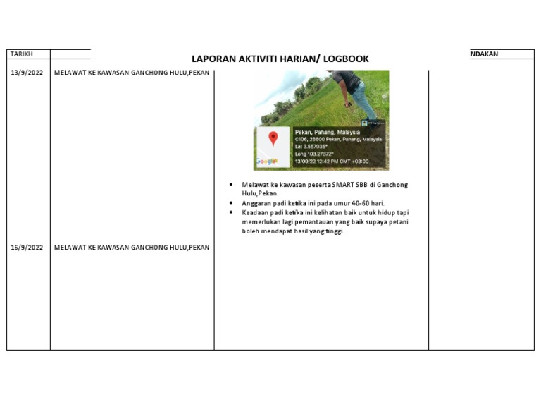Laporan Aktiviti Harian (Logbook) | PDF