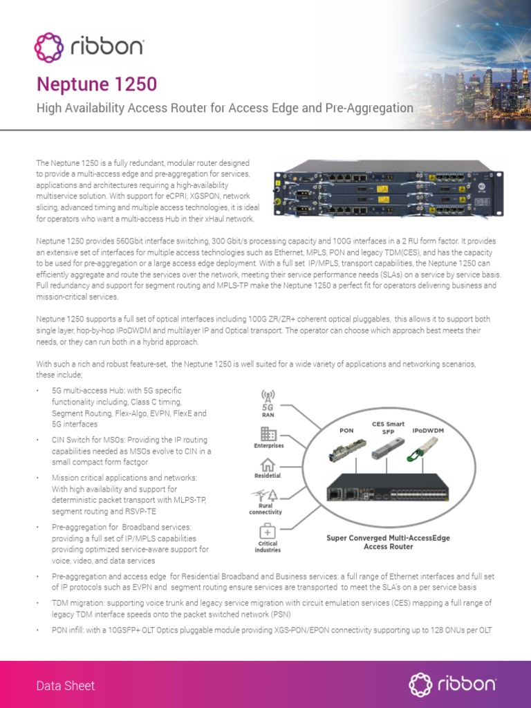 DS Neptune NPT-1250 - 2 | PDF | Networking | Multiprotocol Label Switching