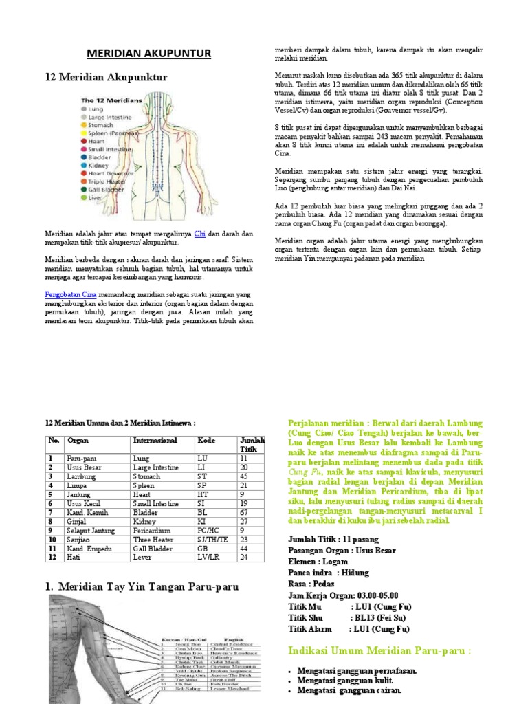 12 Meridian Akupunktur | PDF