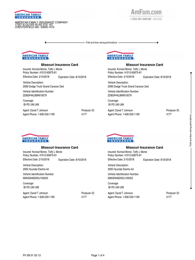 Proof of Insurance Cards PDF | PDF | Financial Services | Car