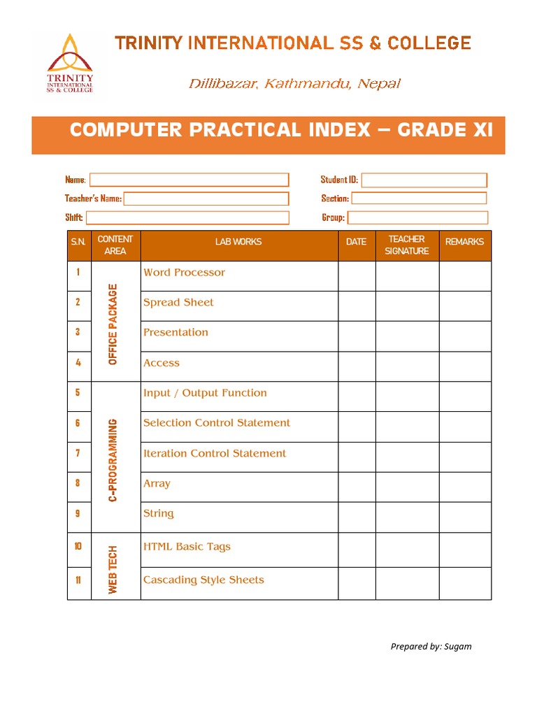 Computer Practical Index | PDF