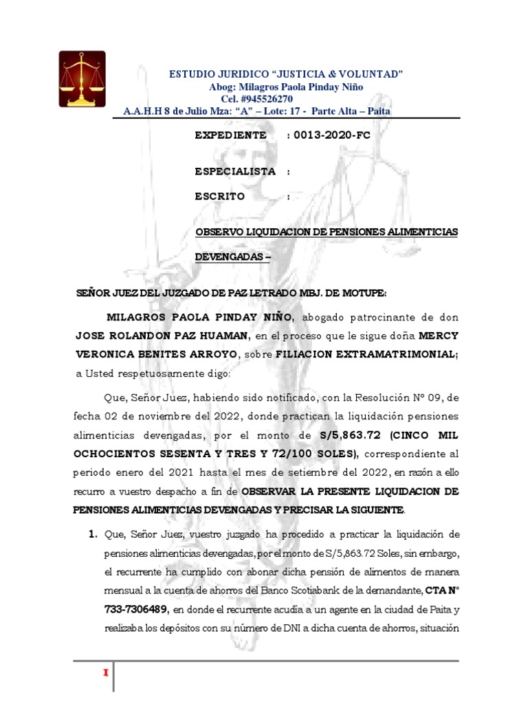 Observacion de Liquidacion | PDF | Pensión alimenticia | Liquidación