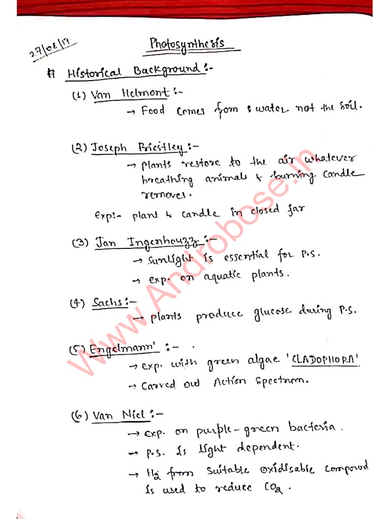 Photosynthesis in Higher Plants Notes For NEET PDF Download QZPCFG | PDF