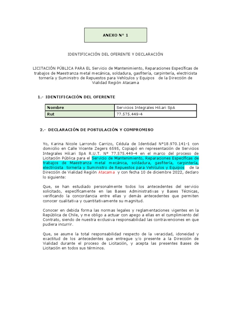 Anexo N°1 | PDF