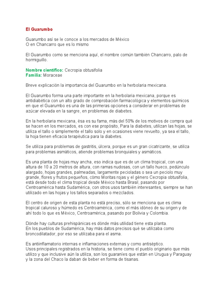 Usos y beneficios del Guarumbo | PDF | Especialidades Medicas ...