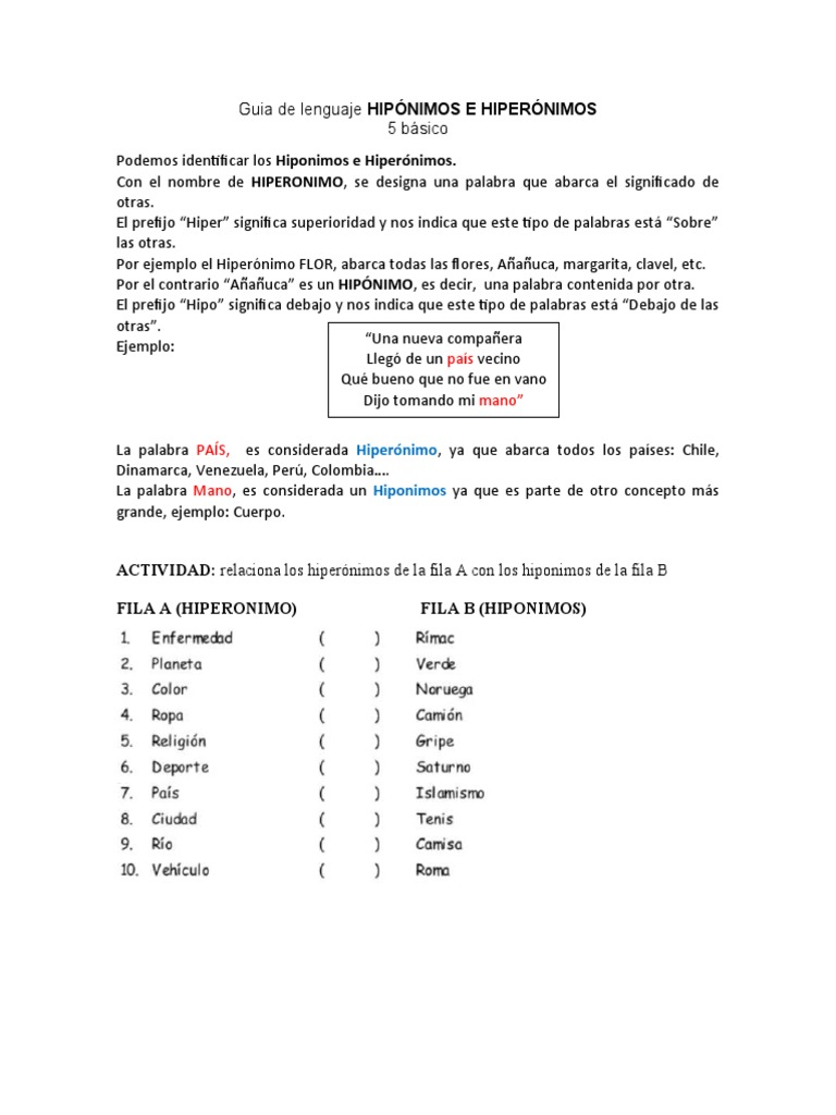 Guia de Lenguaje Hipónimos e Hiperónimos 5 | PDF