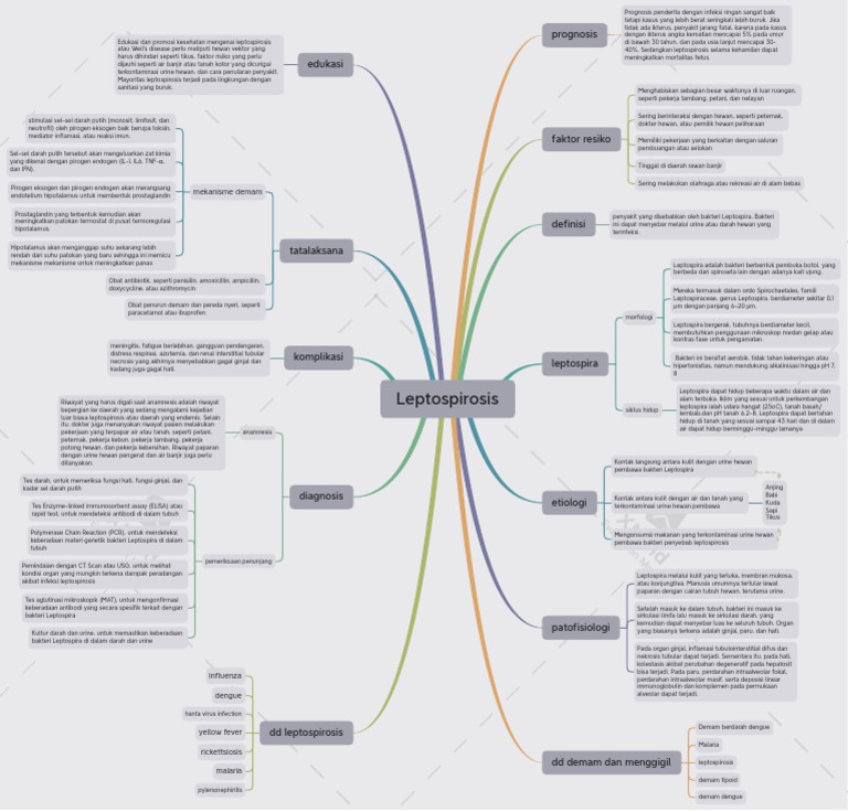 Leptospirosis - Mind Map | PDF