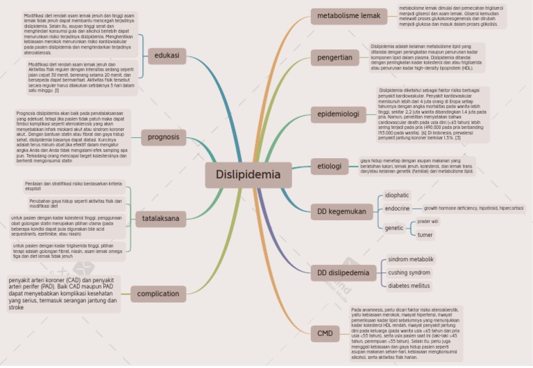 Mindmap Dislipidemia | PDF