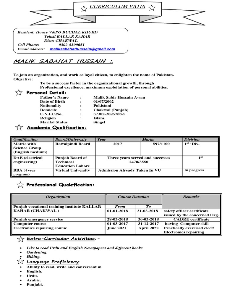 CV MAlik Sabahat Hussain | PDF