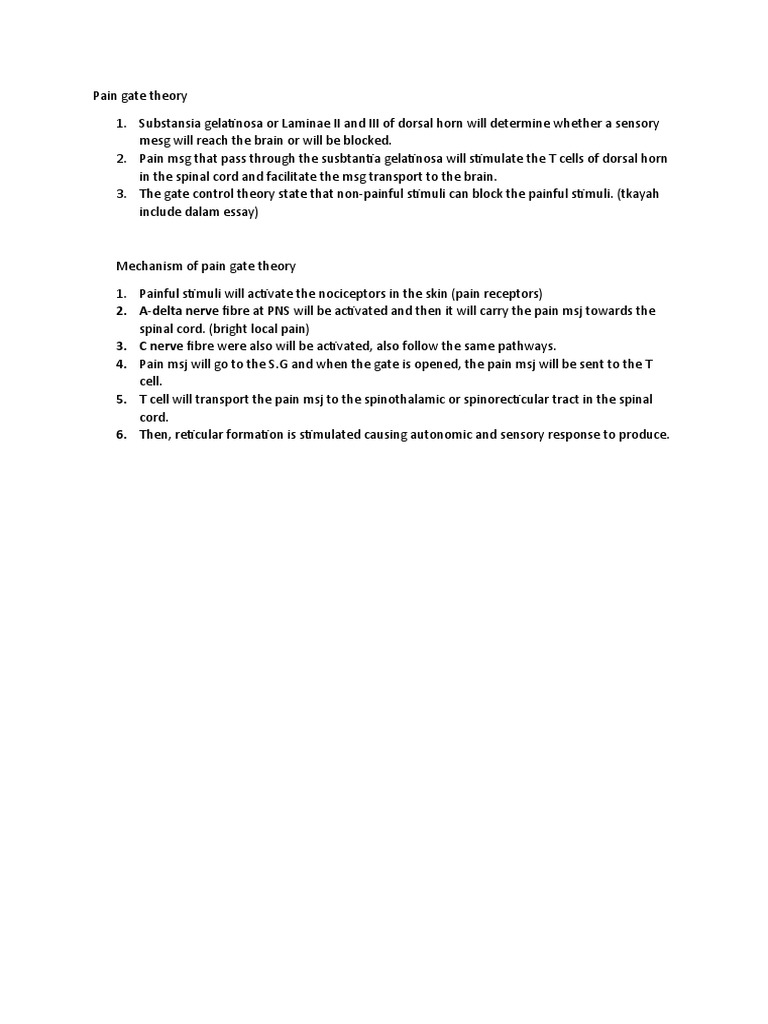 Pain Gate Theory | PDF