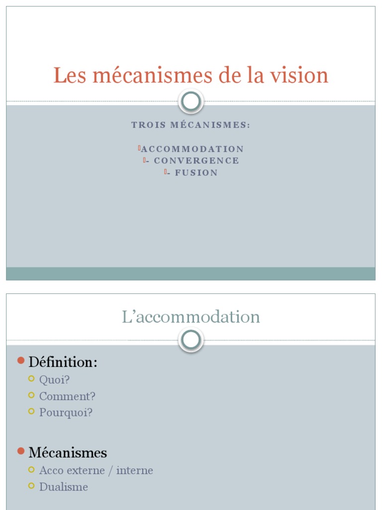 Les Mécanismes de La Vision | PDF | Caractéristiques faciales | Optique