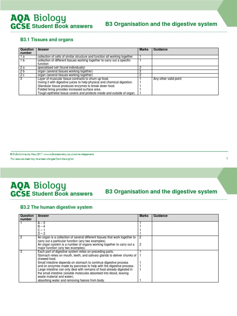AQA GCSE Bio End of Topic B3 | PDF | Enzyme | Human Digestive System