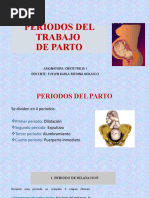 Fases Del Trabajo de Parto | PDF | Parto | Especialidades Medicas