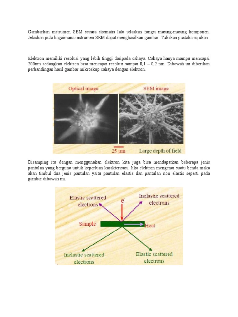 Skema dan Fungsi Mikroskop SEM | PDF | Metode & Bahan Ajar | Sains ...
