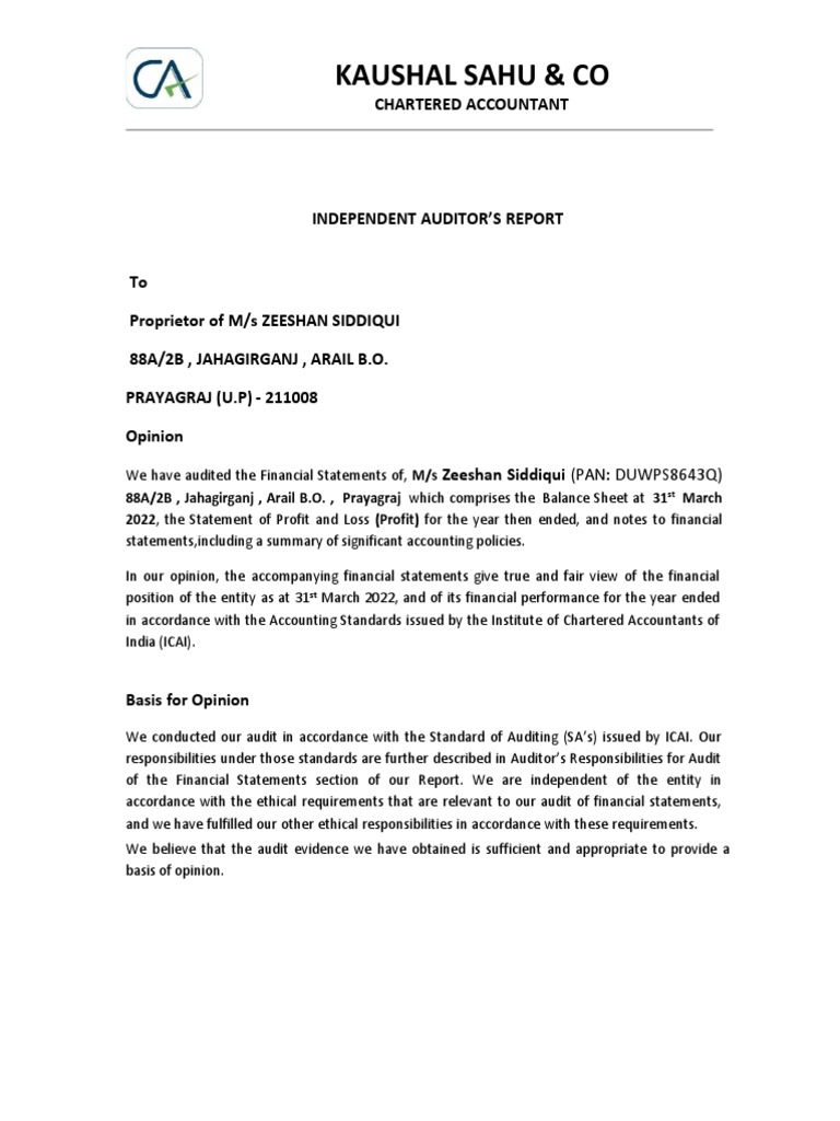 Auditors Report | PDF | Audit | Going Concern