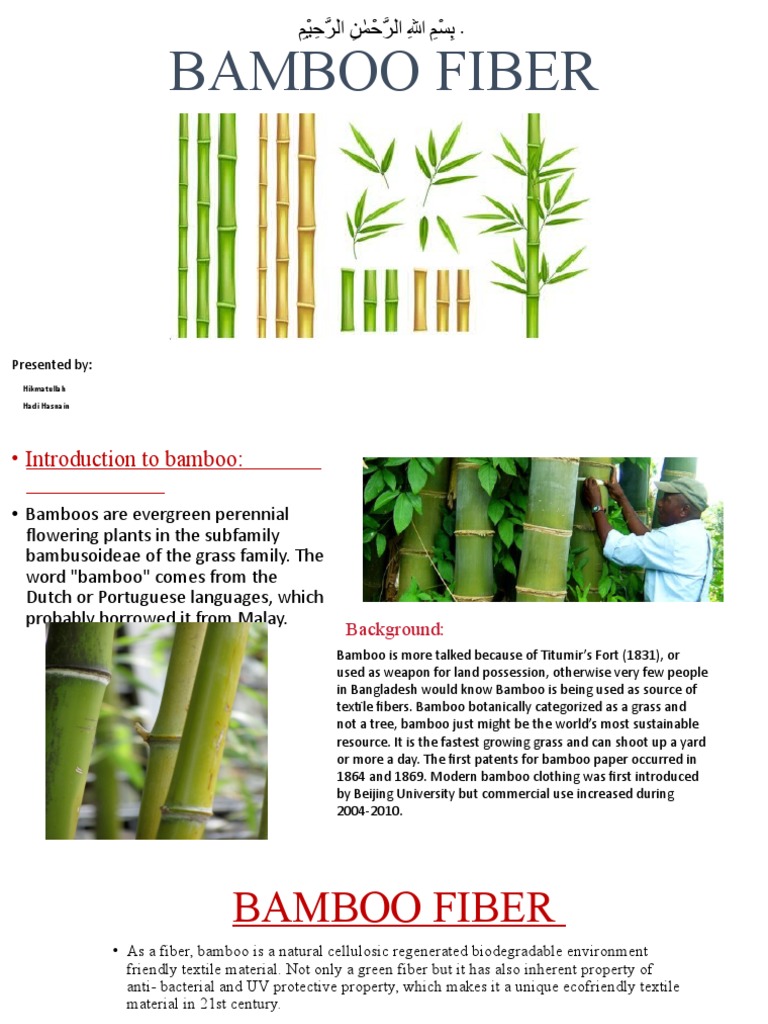 Bamboo Fiber | PDF | Rayon | Fibers