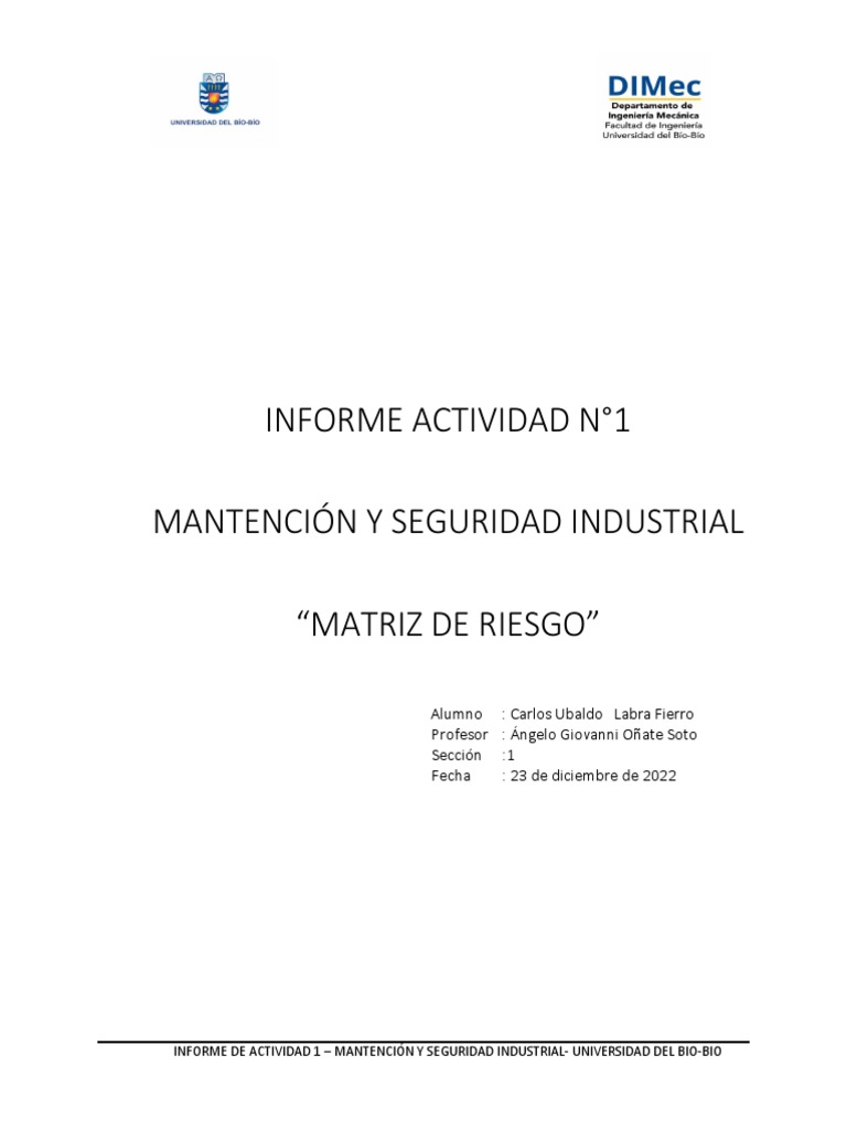 Informe Matriz Riesgo Carlos Labra IMV UBB | PDF | Agua | Hospital