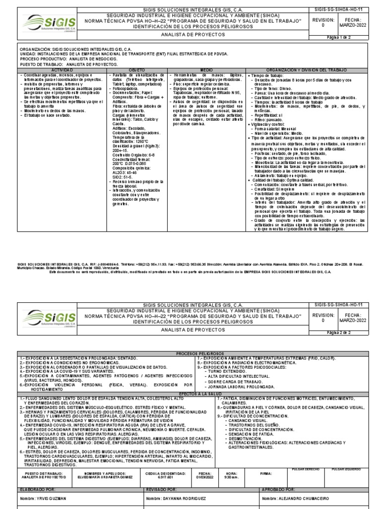 PP Sigis Analista de Proyectos | PDF | Higiene Ocupacional | Dolor de ...