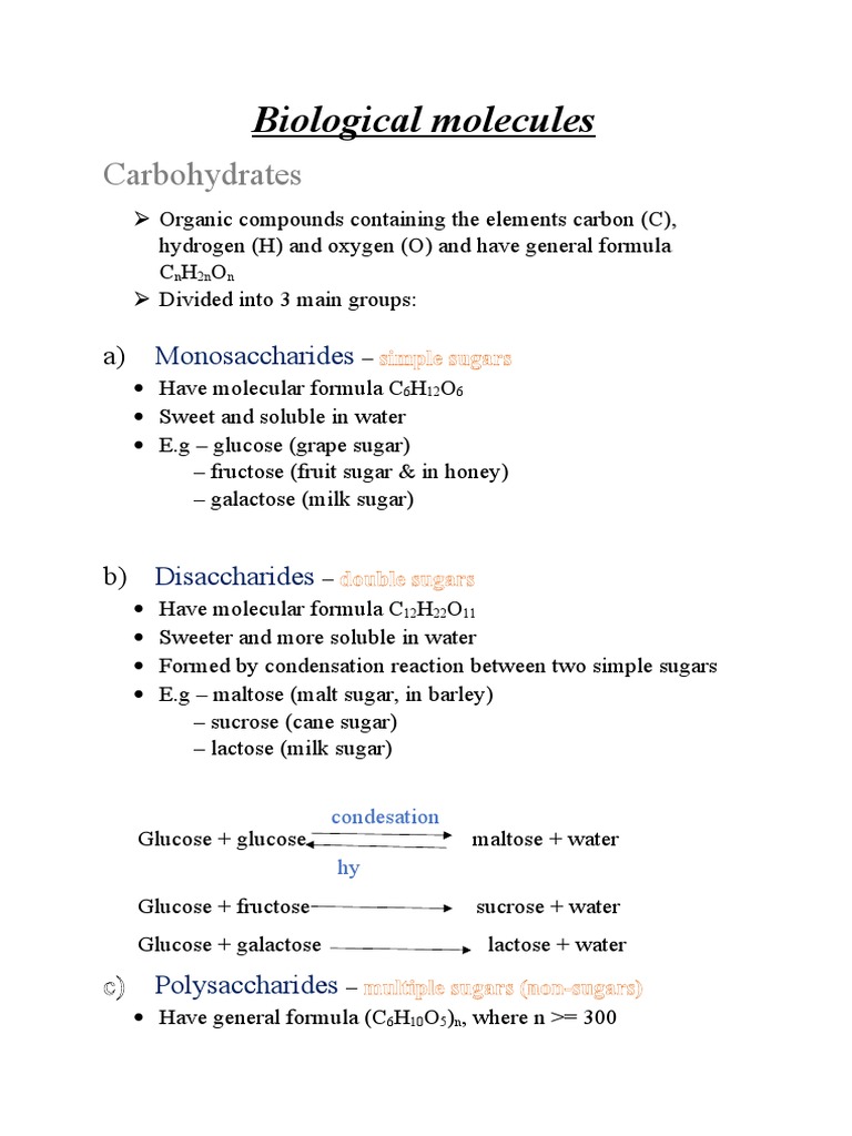 Chapter 4 - Biological Molecules | PDF | Glucose | Carbohydrates