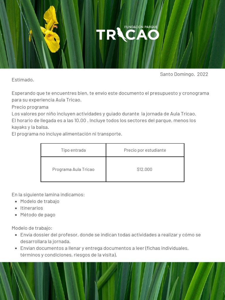 Programa Aula Tricao | PDF