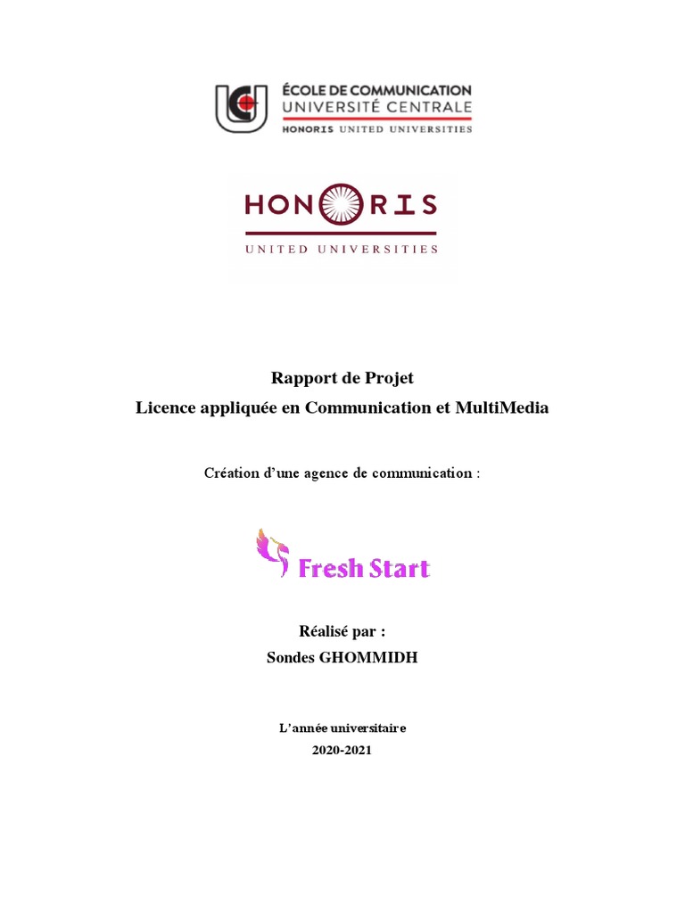 Rapport Pfe Sondesghommidh | PDF | Internet | Internet et Web