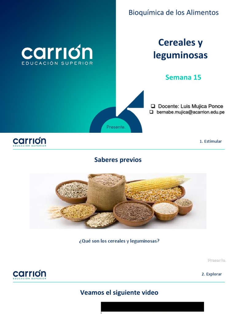 Bioquímica de Cereales y Leguminosas | PDF | Legumbre | Cereales