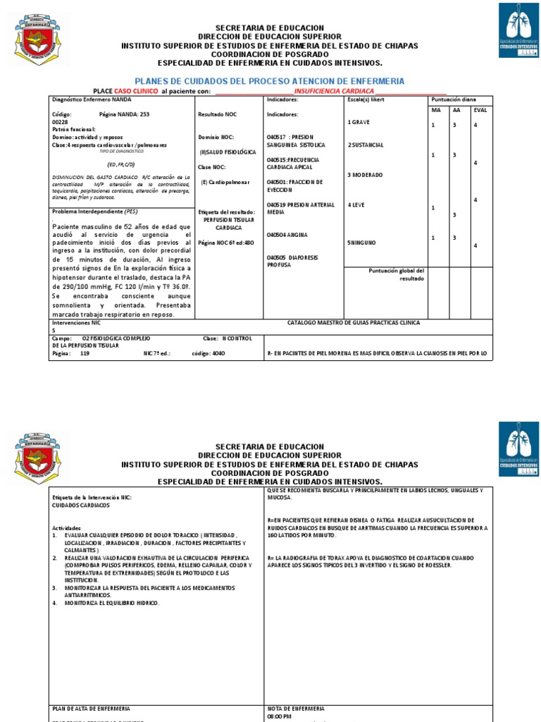 FORMATO PLAN DE CUIDADO INSUFICIENCIA CARDIACA | PDF | Insuficiencia cardíaca | Medicina CLINICA