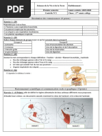 Contrôle SVT 2AC Semestre 2 avec Corrigé | PDF | Système reproducteur ...