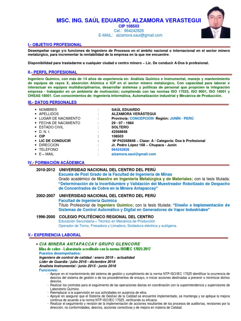 CV - Saul - Alzamora V. | PDF | Cobre | Zinc