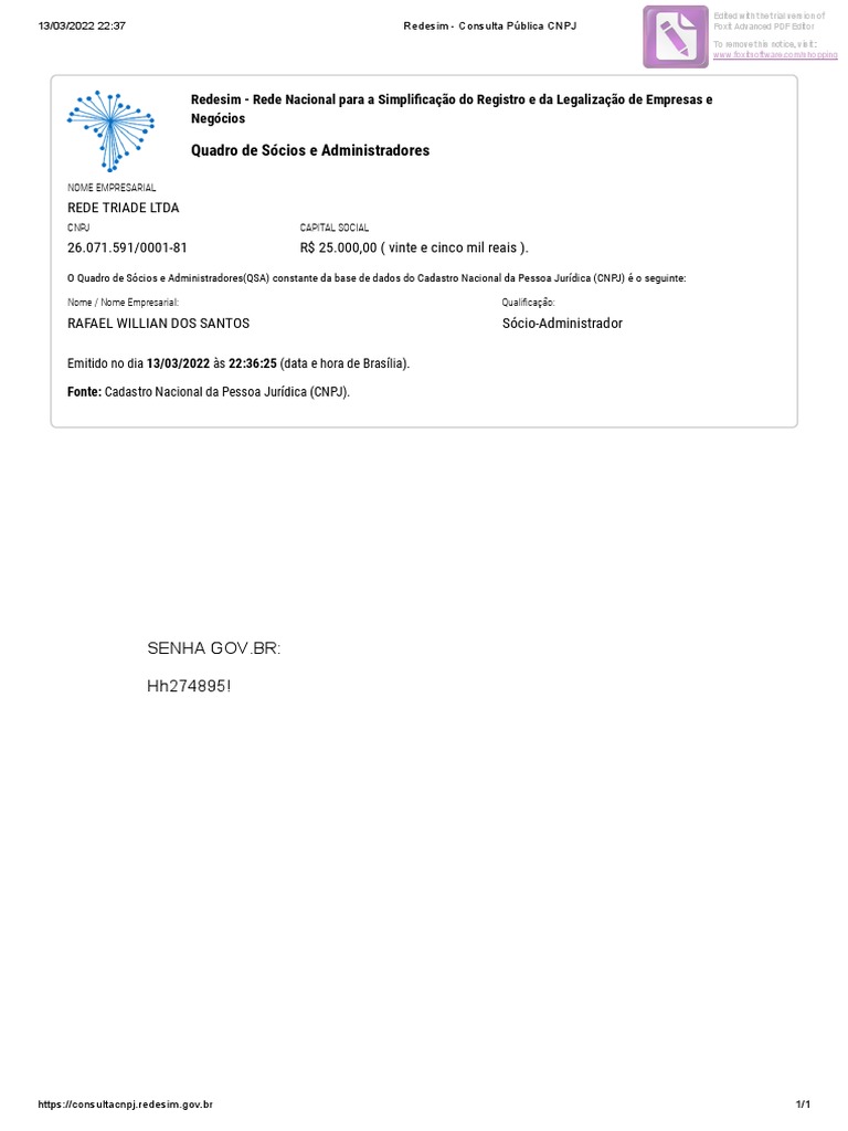 Redesim - Consulta Pública CNPJ | PDF