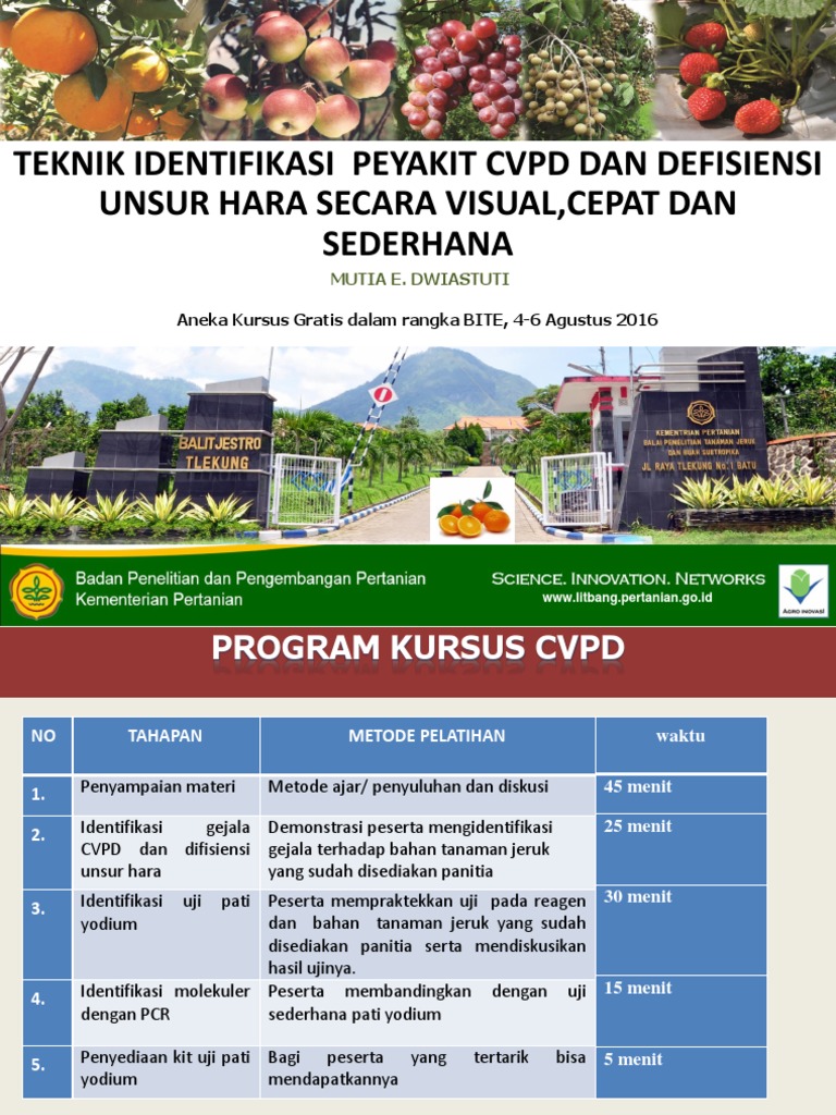 Teknik Identifikasi Peyakit CVPD Dan Defisiensi Unsur Hara Secara Visual, Cepat Dan Sederhana ...