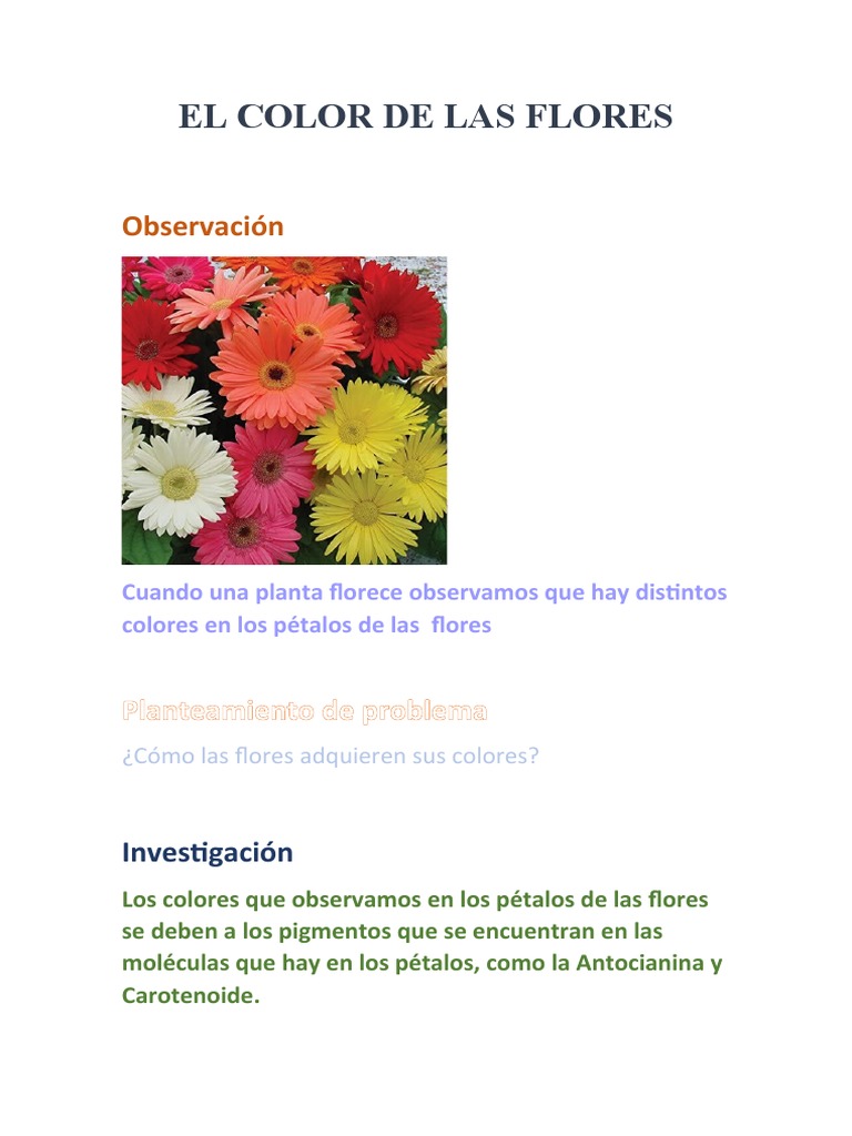 El Color de Las Flores | PDF