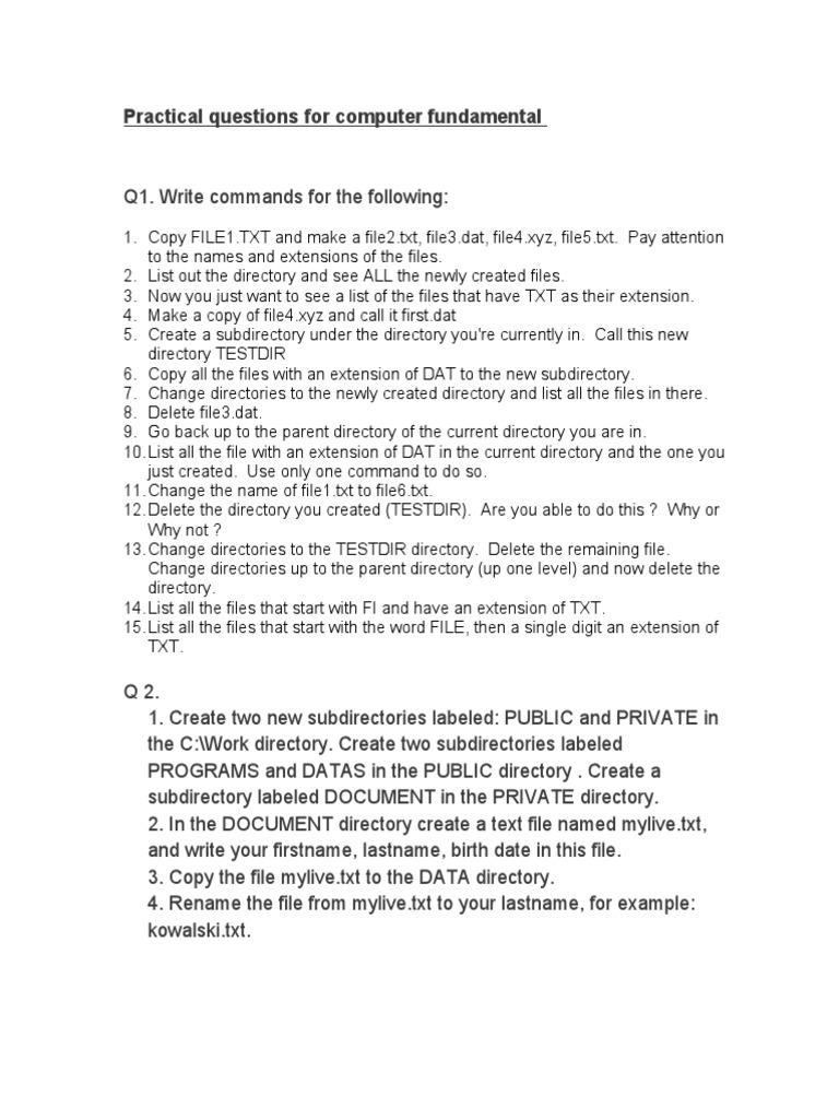 Practical Questions For Computer Fundamental Download Free Pdf Directory Computing