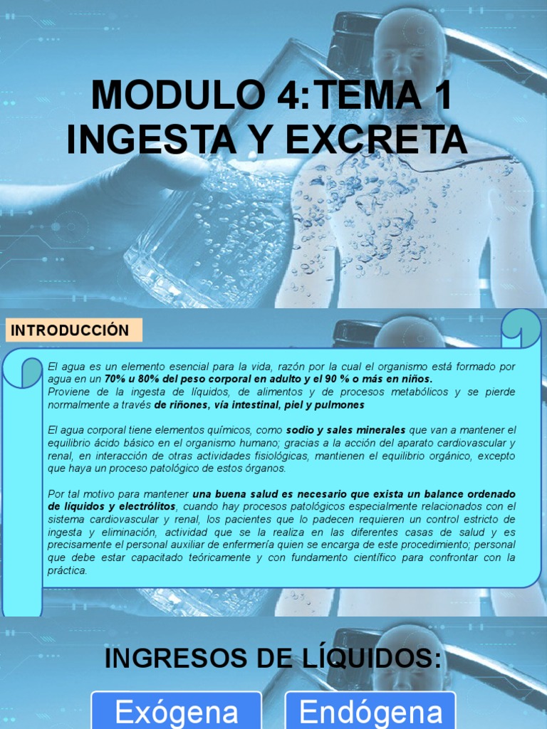 TEMA 1 Ingesta y Excreta | PDF | Agua | Alimentos
