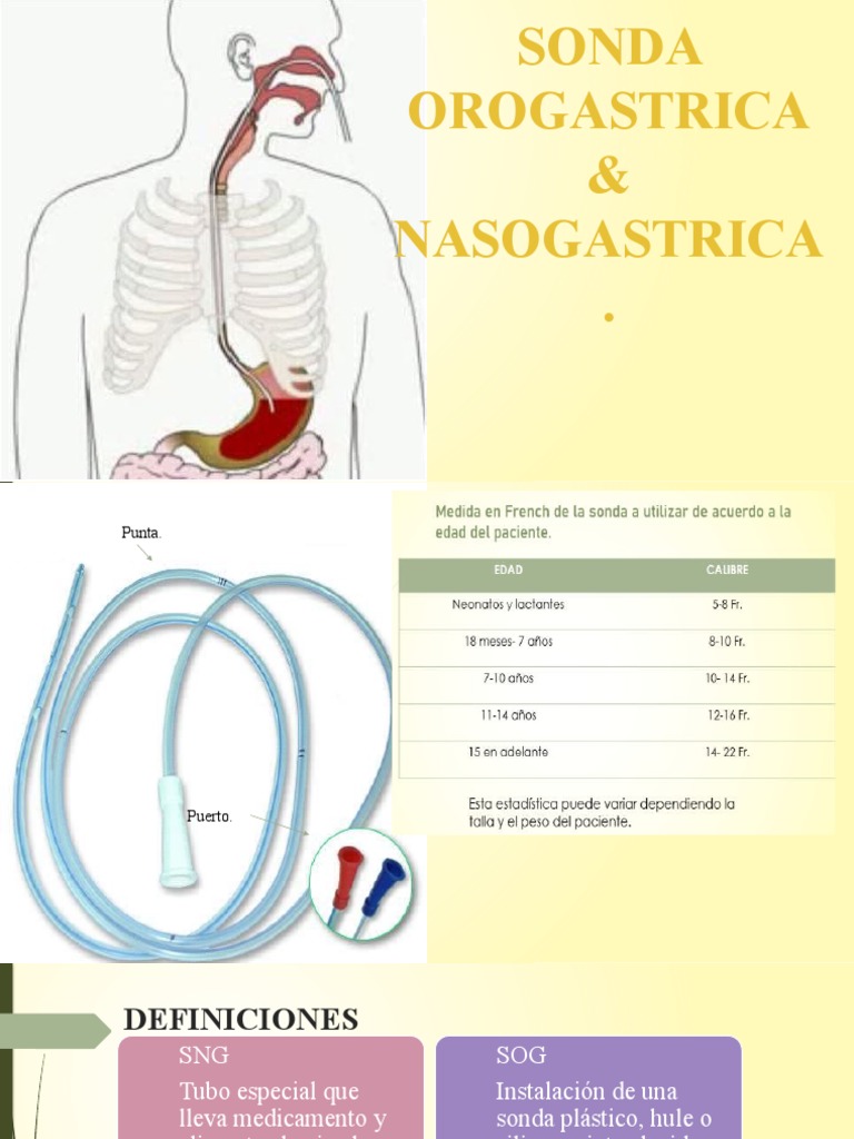 TEMA 2 Sonda Orogastrica y Nasogastrica | PDF | Tracto gastrointestinal ...