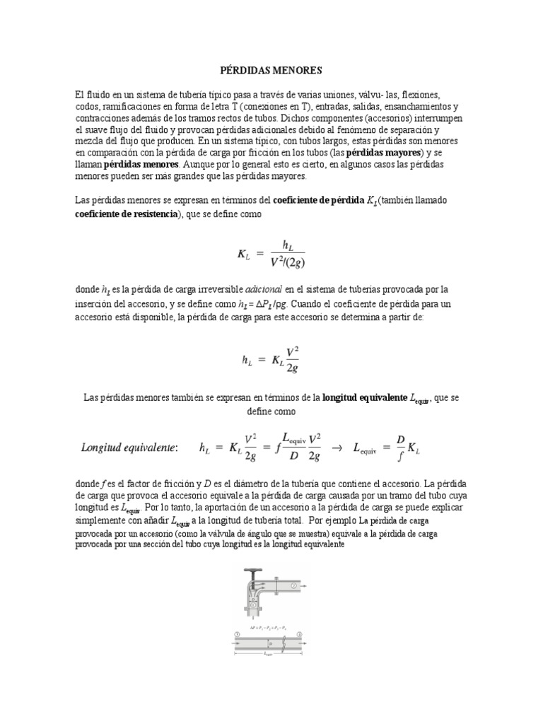 Pérdidas Menores | PDF | Física | Ingeniería Química