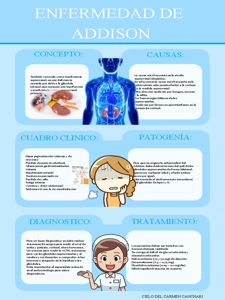 Enfermedad de Addison: Guía Básica | PDF | Glándula suprarrenal | Cortisol