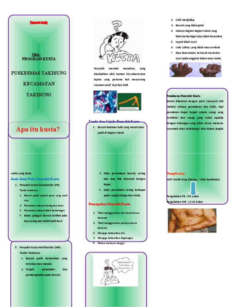 Leaflet Penyakit Kusta | PDF