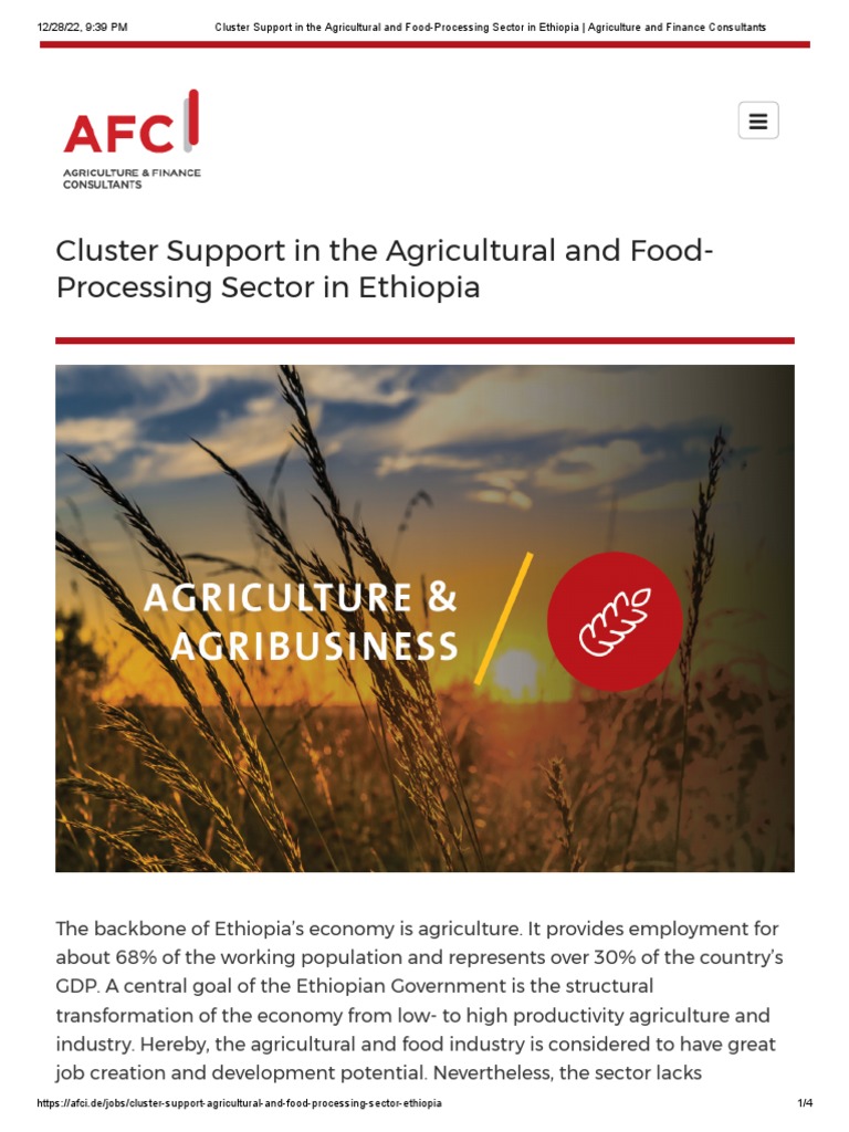 Cluster Support in The Agricultural and Food-Processing Sector in Ethiopia - Agriculture and ...