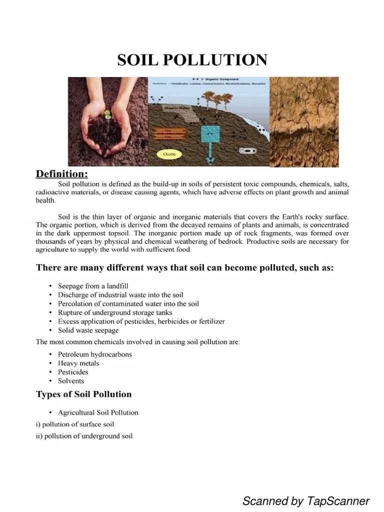 Evs Project For Bba 2022 | PDF