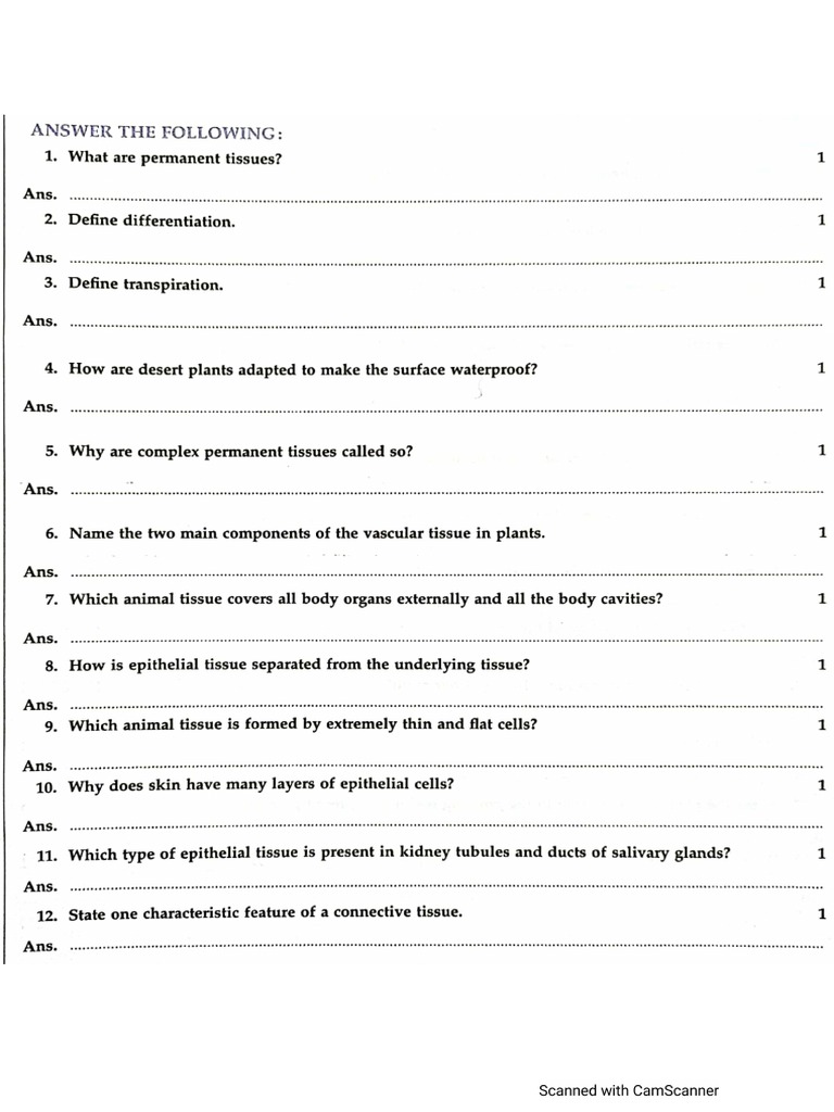 Tissues - Worksheet 1 | PDF