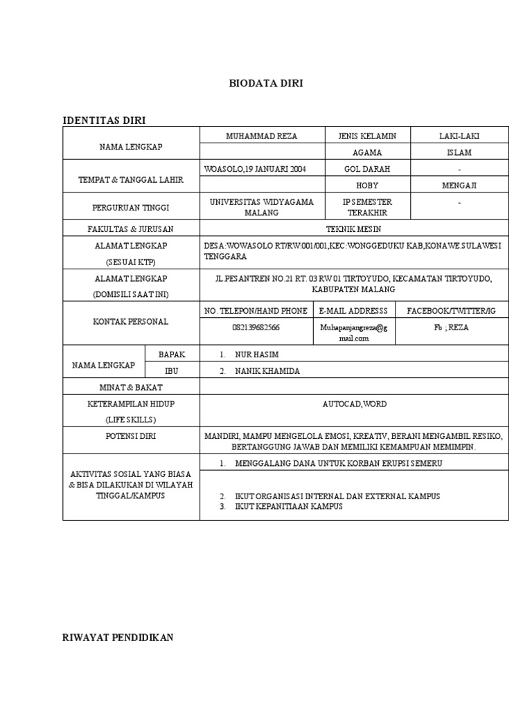 Contoh Biodata | PDF