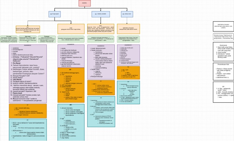 Untitled Diagram-Anuria - Oliguria - Drawio | PDF